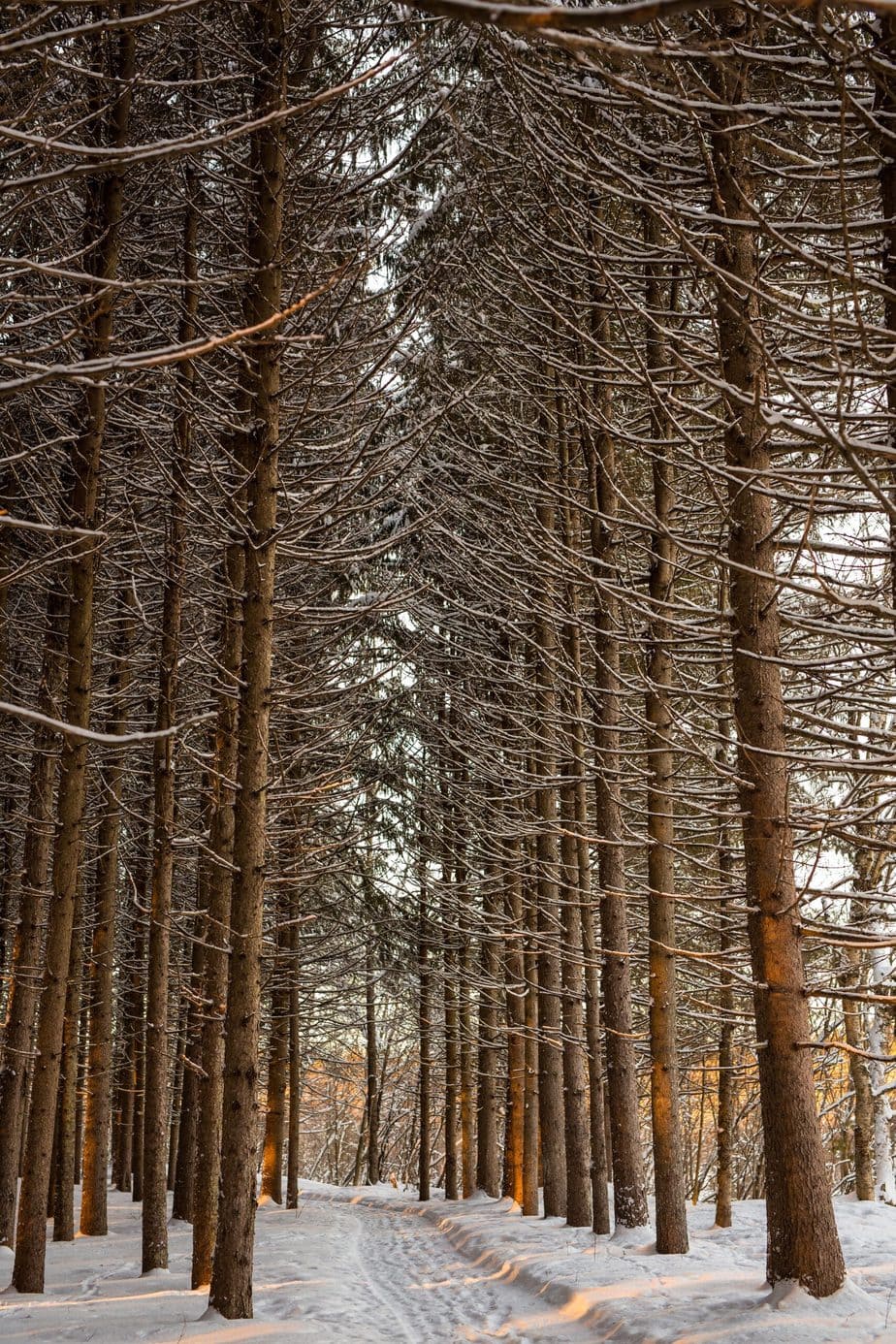 Quelques activités gratuites pour toute la famille à East Angus - Ville ...