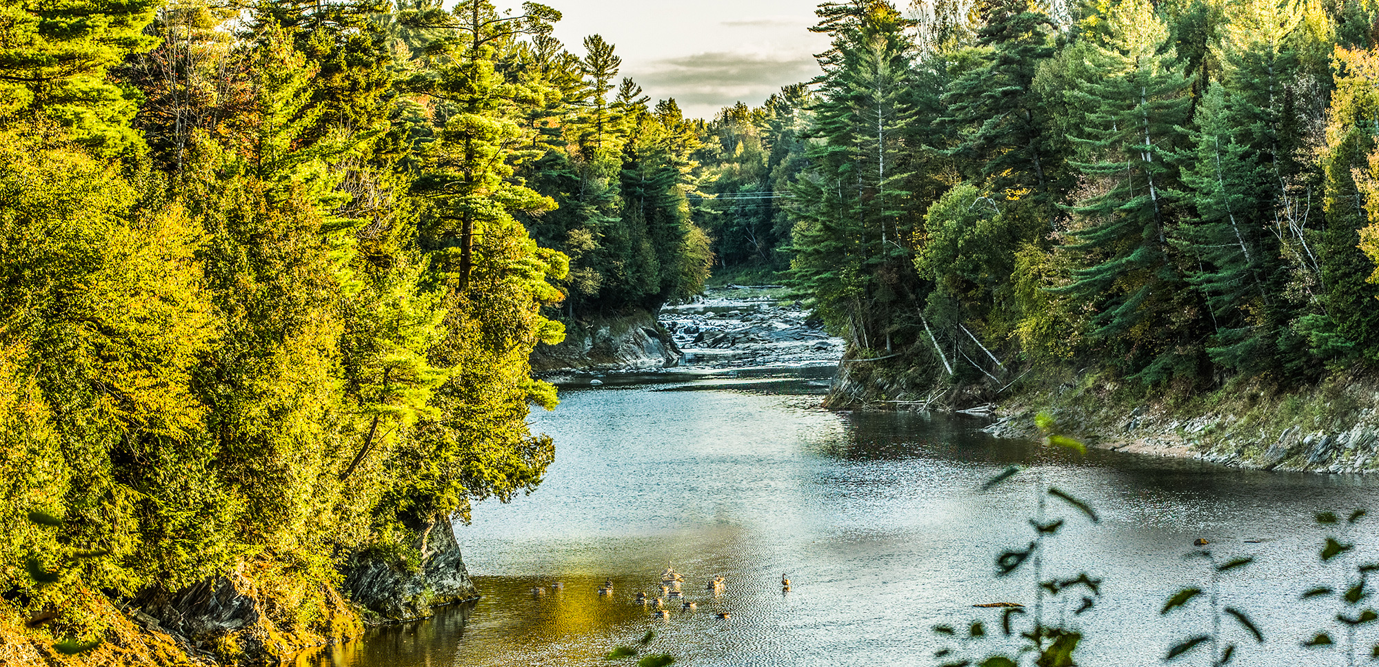 Ville de East Angus - Ma ville ma vie