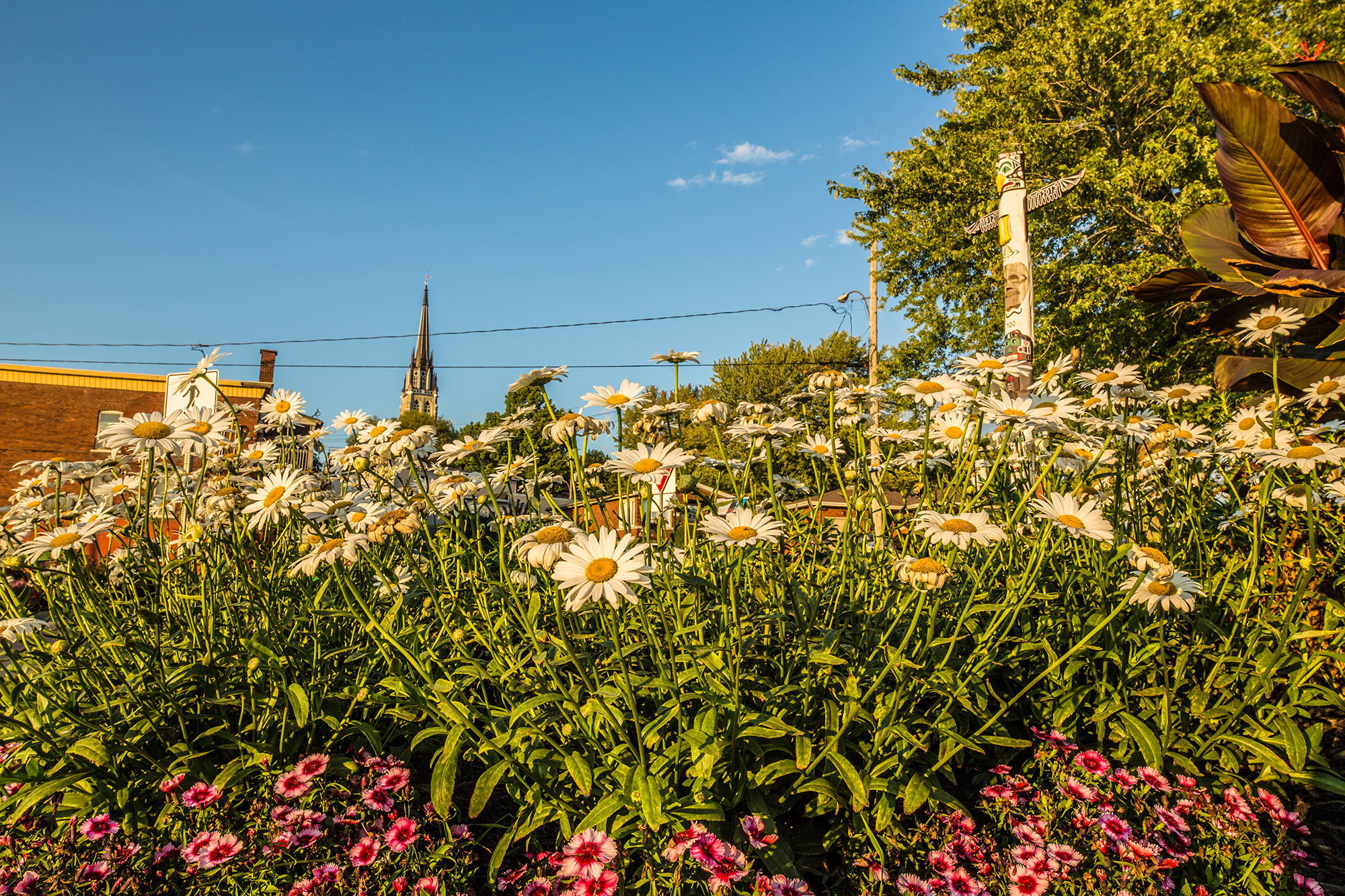 Ville de East Angus - Ma ville ma vie